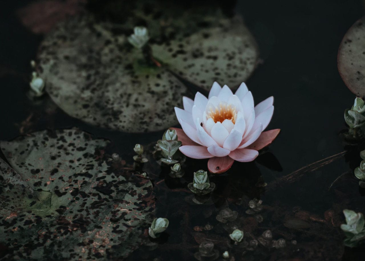 How Are You?: Sean Magennis - Stagen